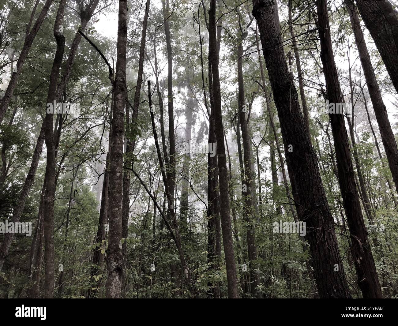 Lost hope hi-res stock photography and images - Alamy