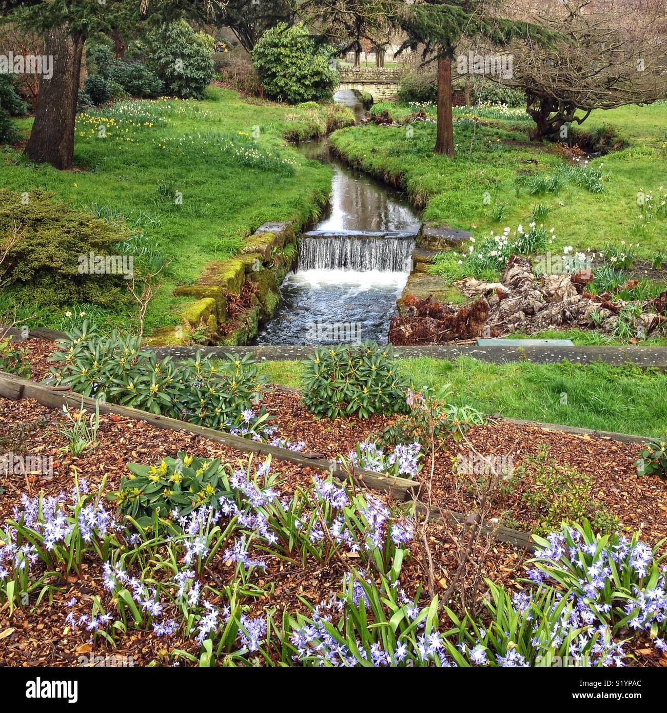 Spring flowers in bournemouth gardens hi-res stock photography and ...