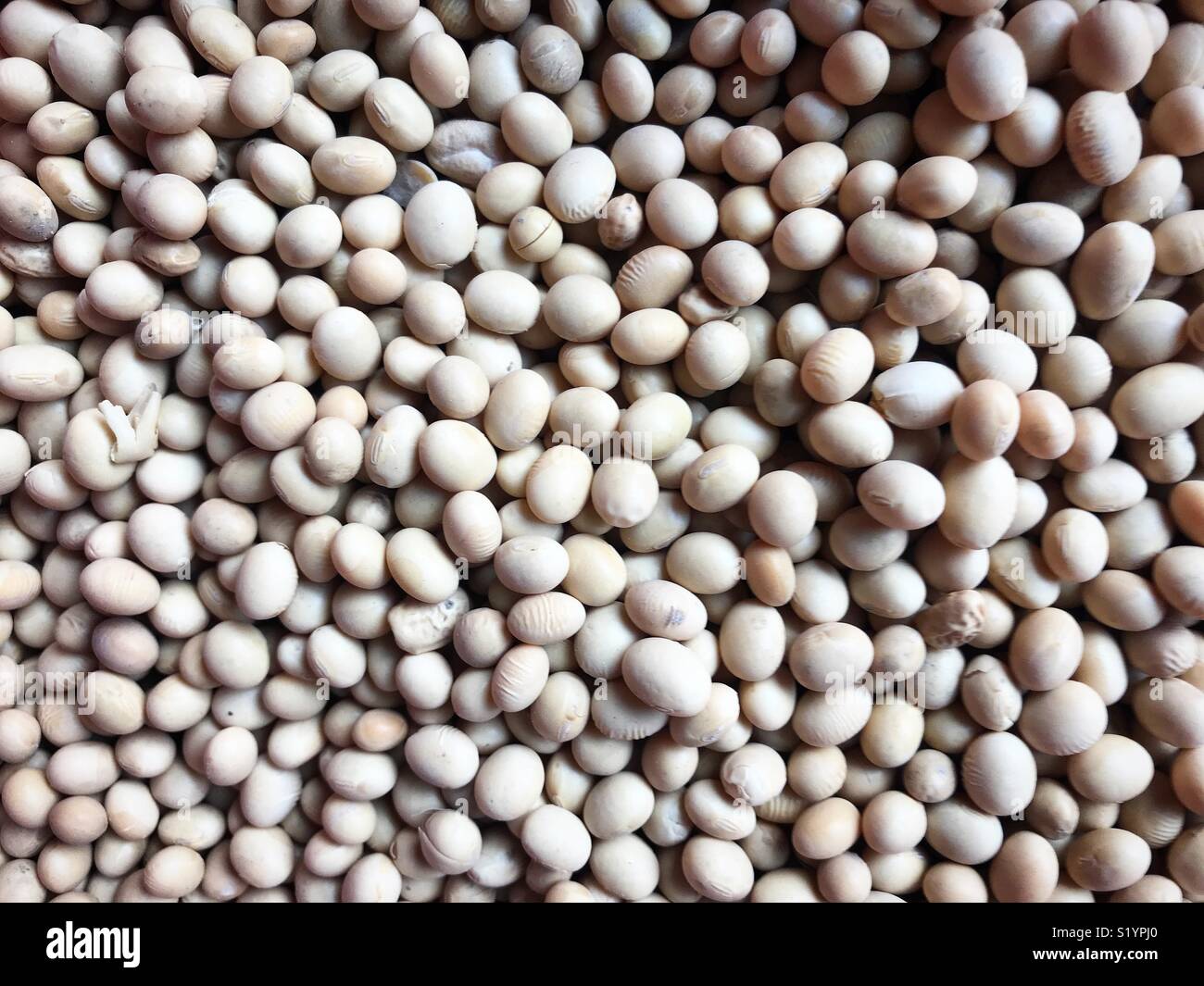 Morroco food hi-res stock photography and images - Alamy