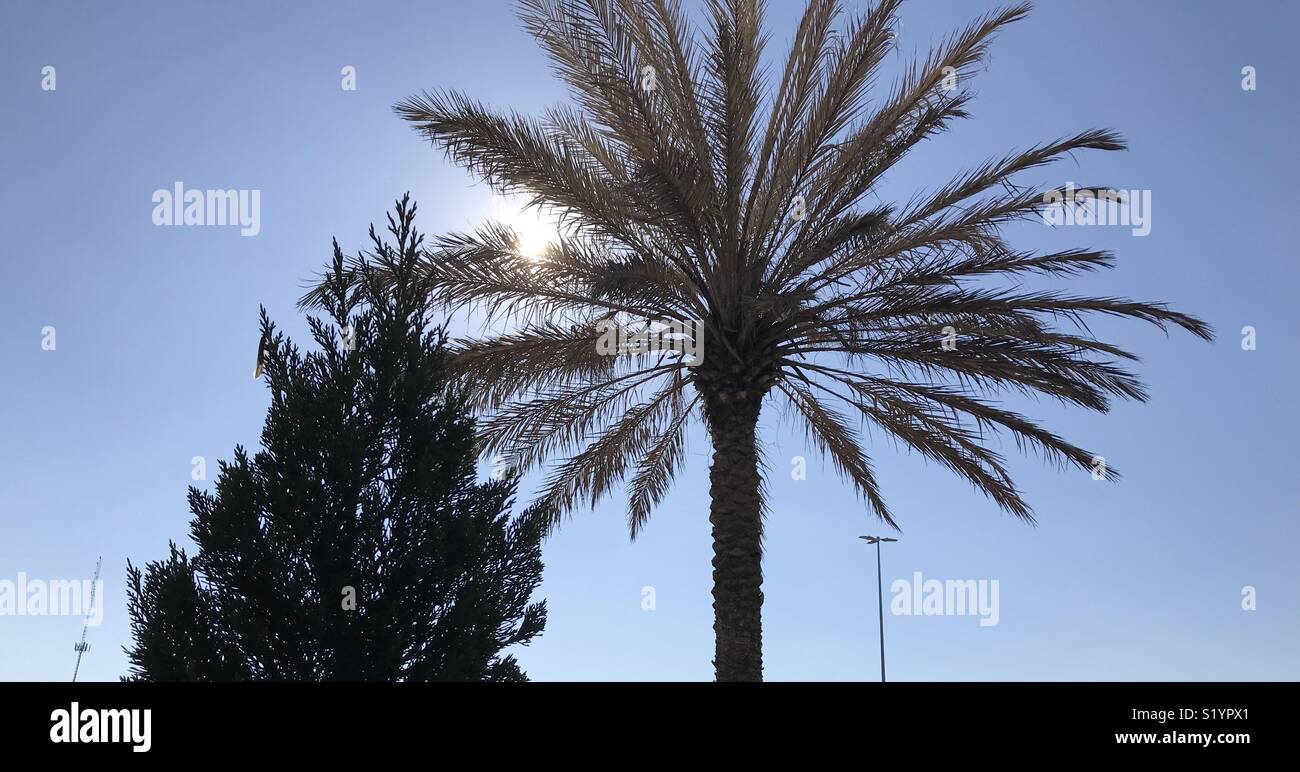 Mid Afternoon Sky High Resolution Stock Photography and Images - Alamy
