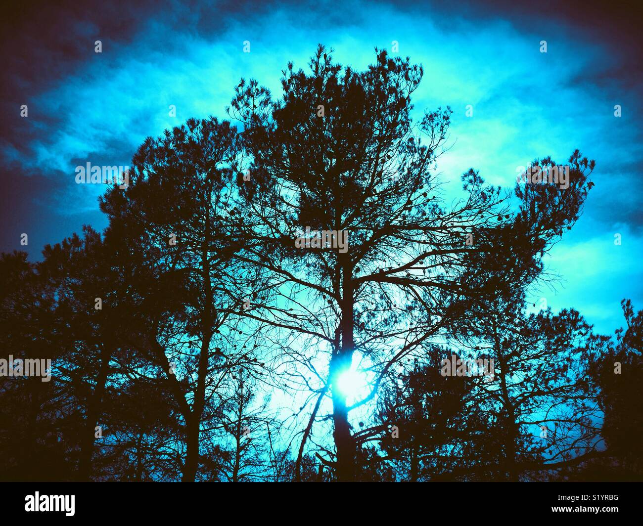 Moonlight effect hi-res stock photography and images - Alamy