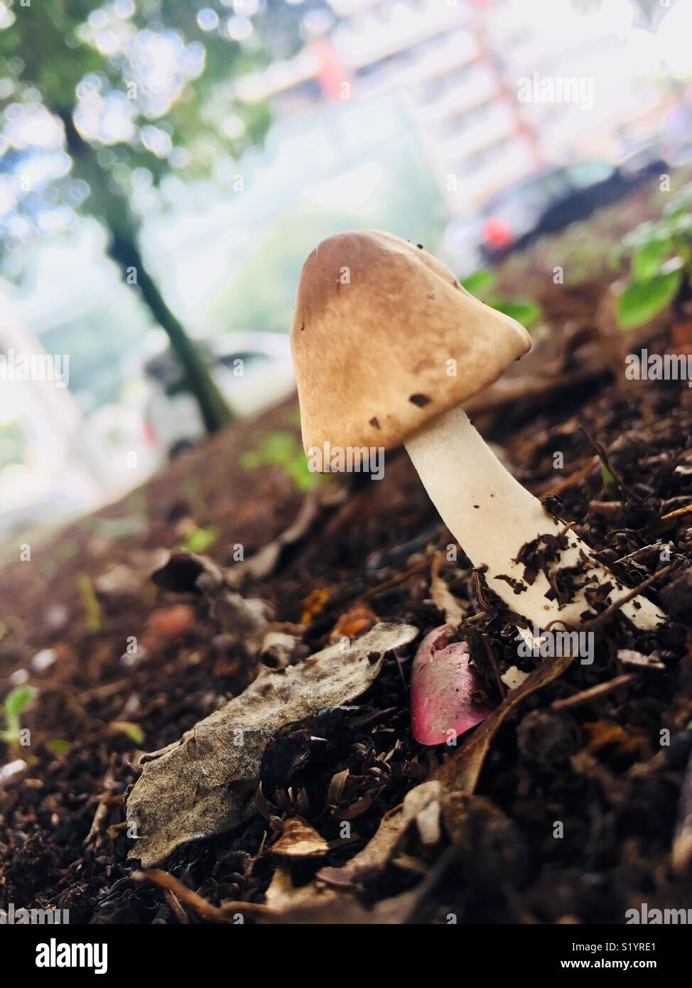 Nothing growing hi-res stock photography and images - Alamy