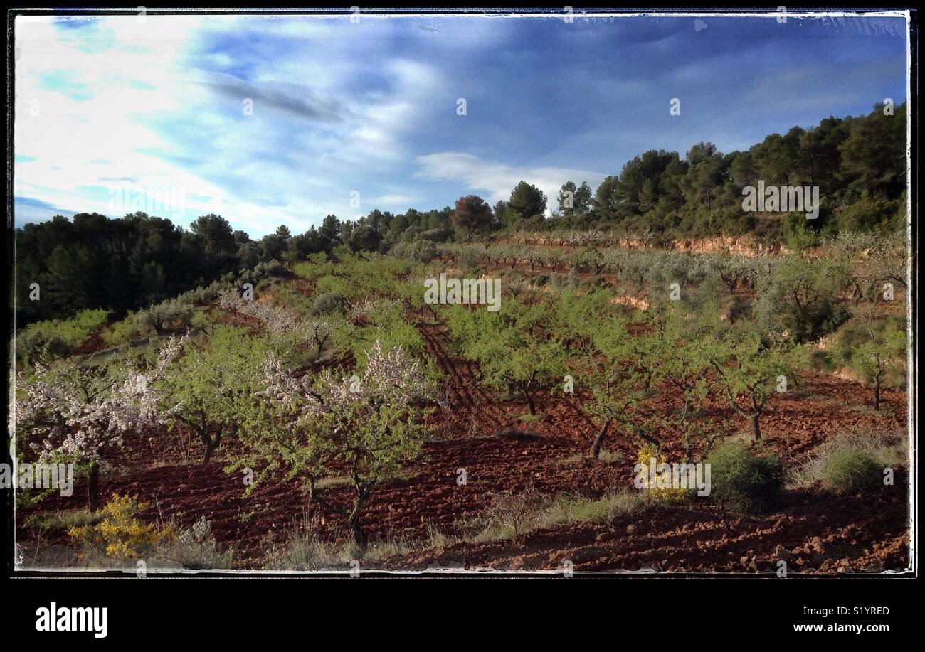 Spanish terraced hillside hi-res stock photography and images - Alamy