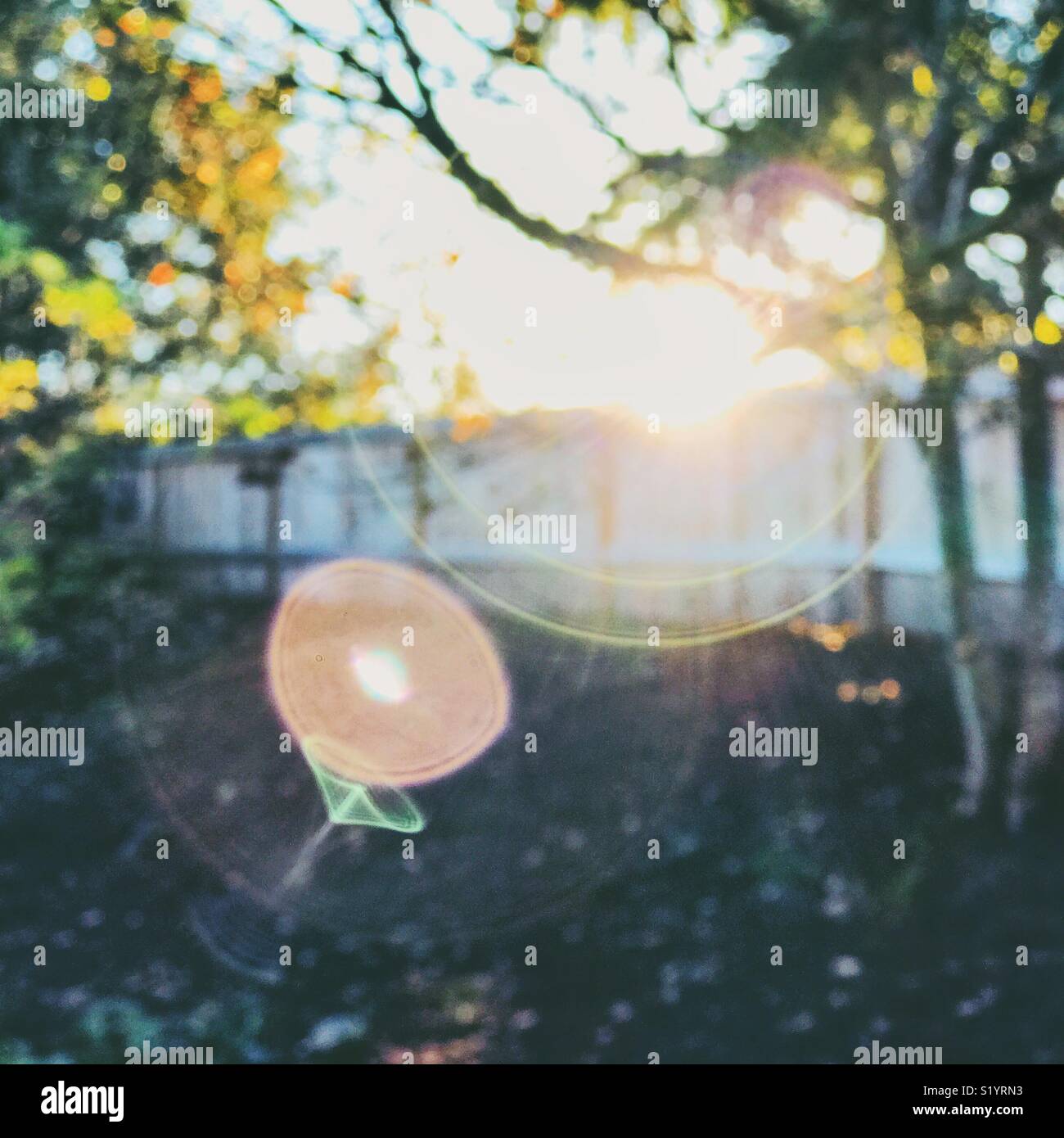 Sunlight flare hi-res stock photography and images - Alamy