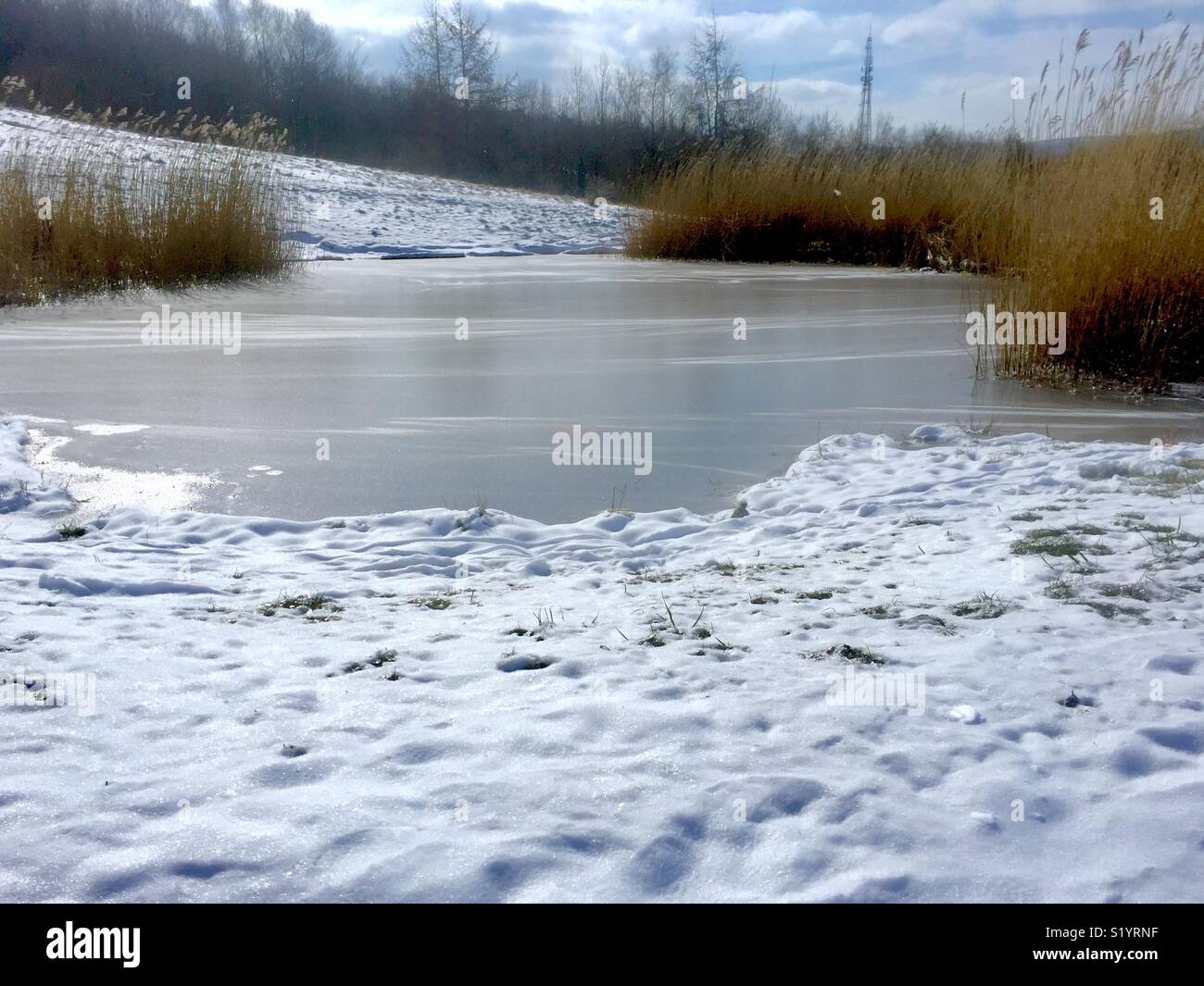 Morning on a pond hi-res stock photography and images - Alamy