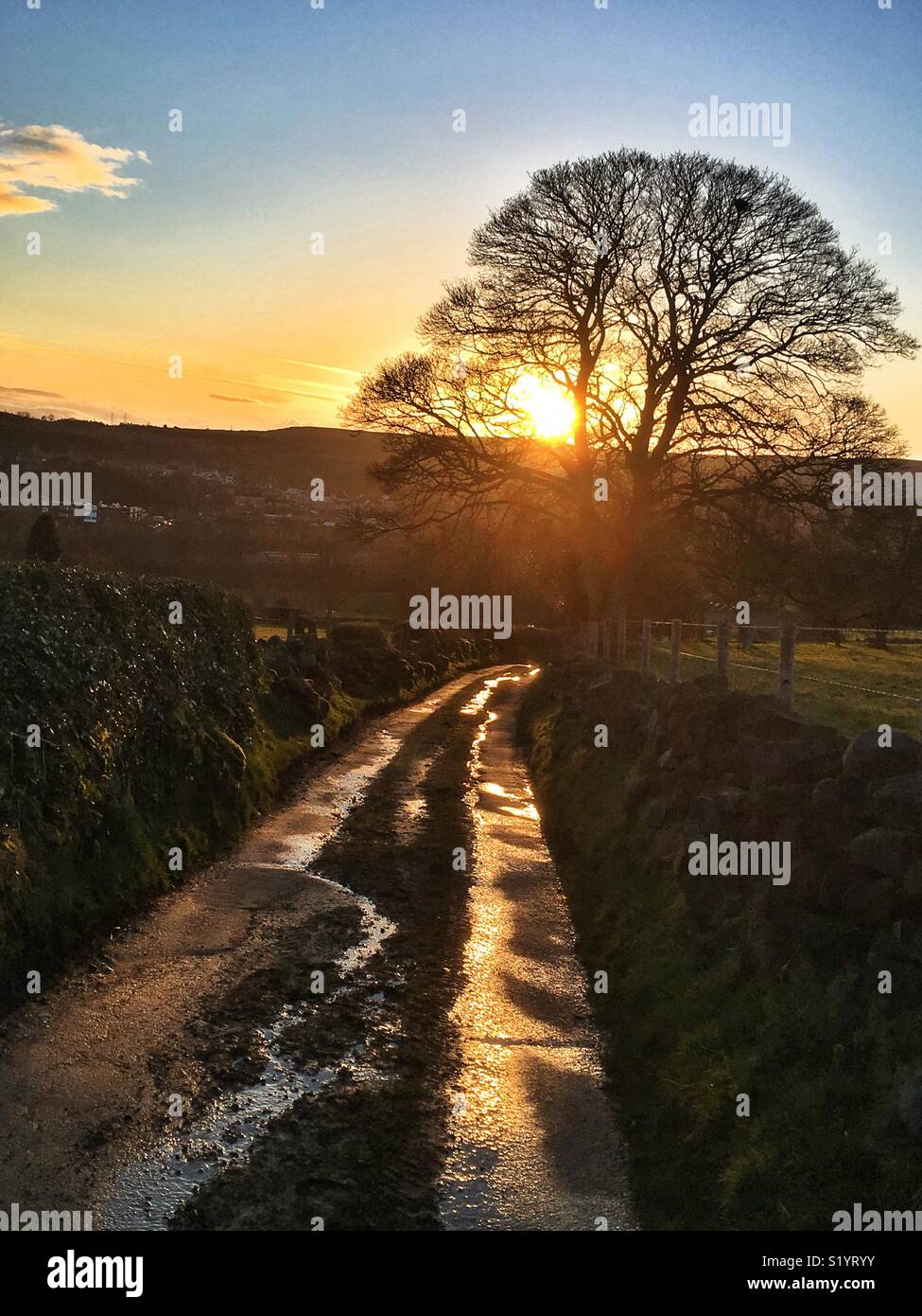 Country lane silhouette hi-res stock photography and images - Alamy