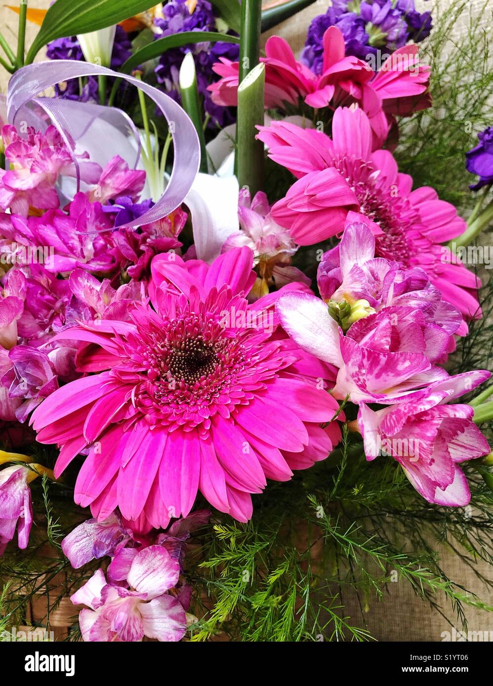 colorful spring flowers as a background Stock Photo - Alamy