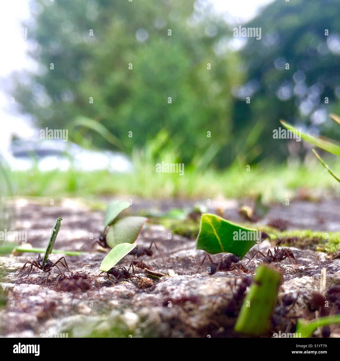 Tireless hi-res stock photography and images - Alamy