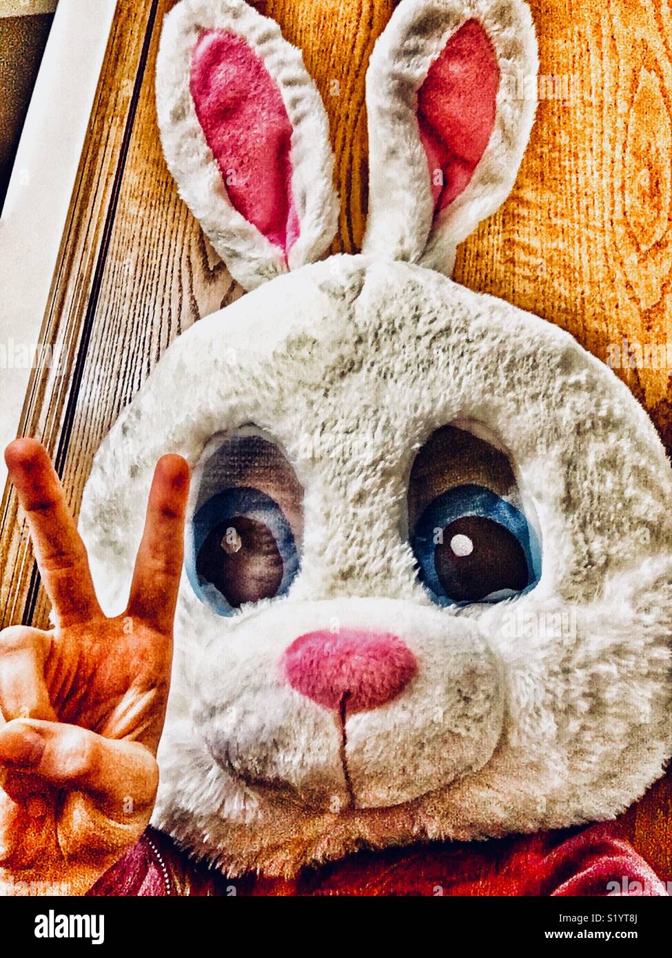 Evil Easter Bunny Costume