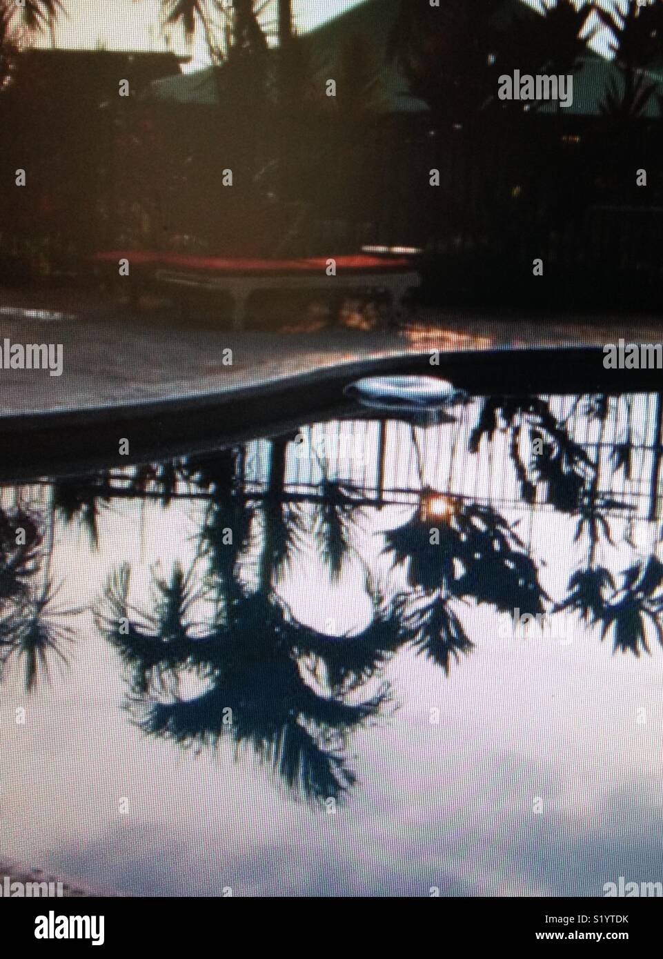 Tranquil swimming pool setting hi-res stock photography and images - Alamy