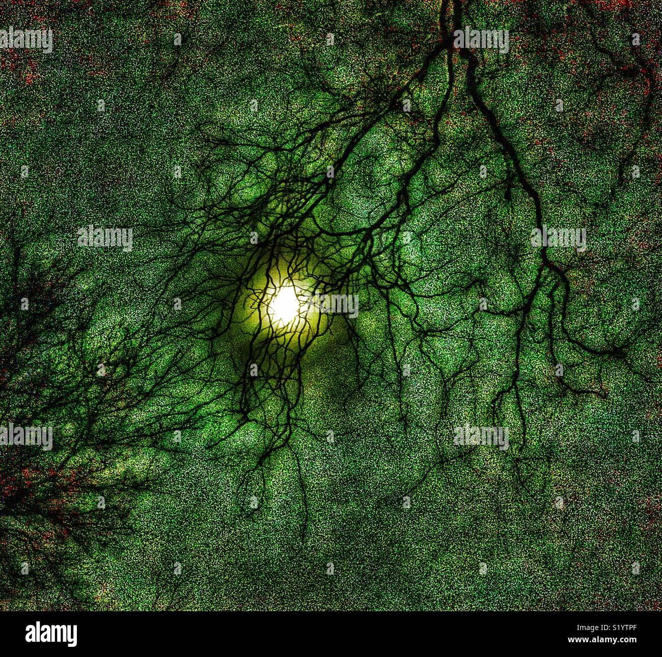 Stylized full moon hi-res stock photography and images - Alamy