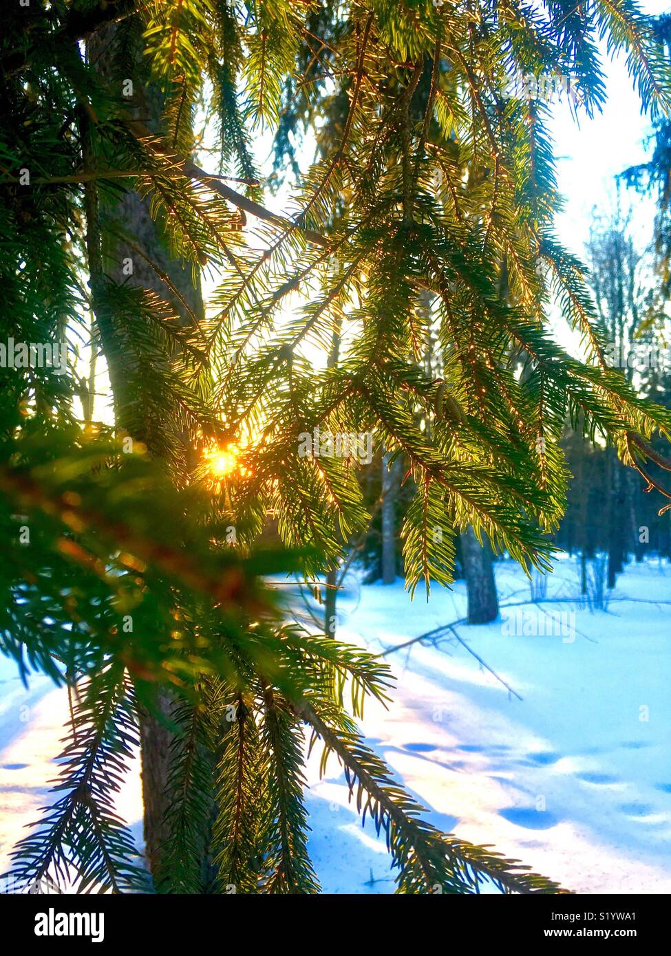 Little sun hi-res stock photography and images - Alamy