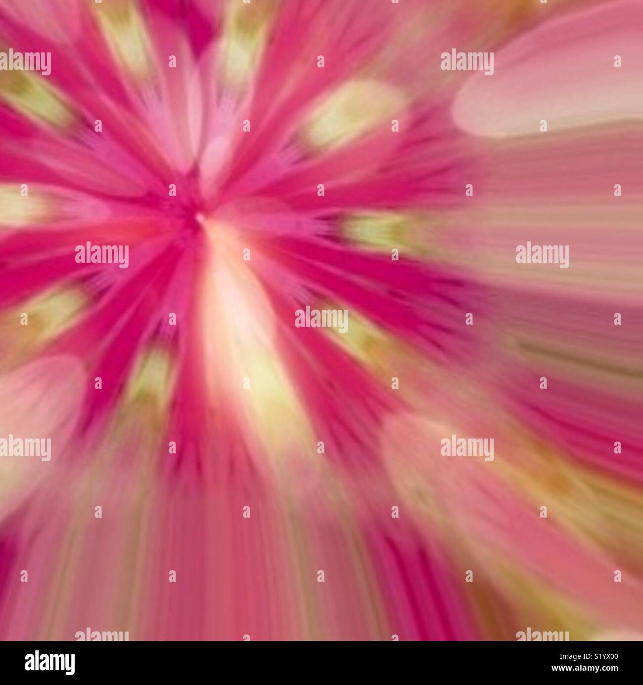 Pink explosion hi-res stock photography and images - Alamy