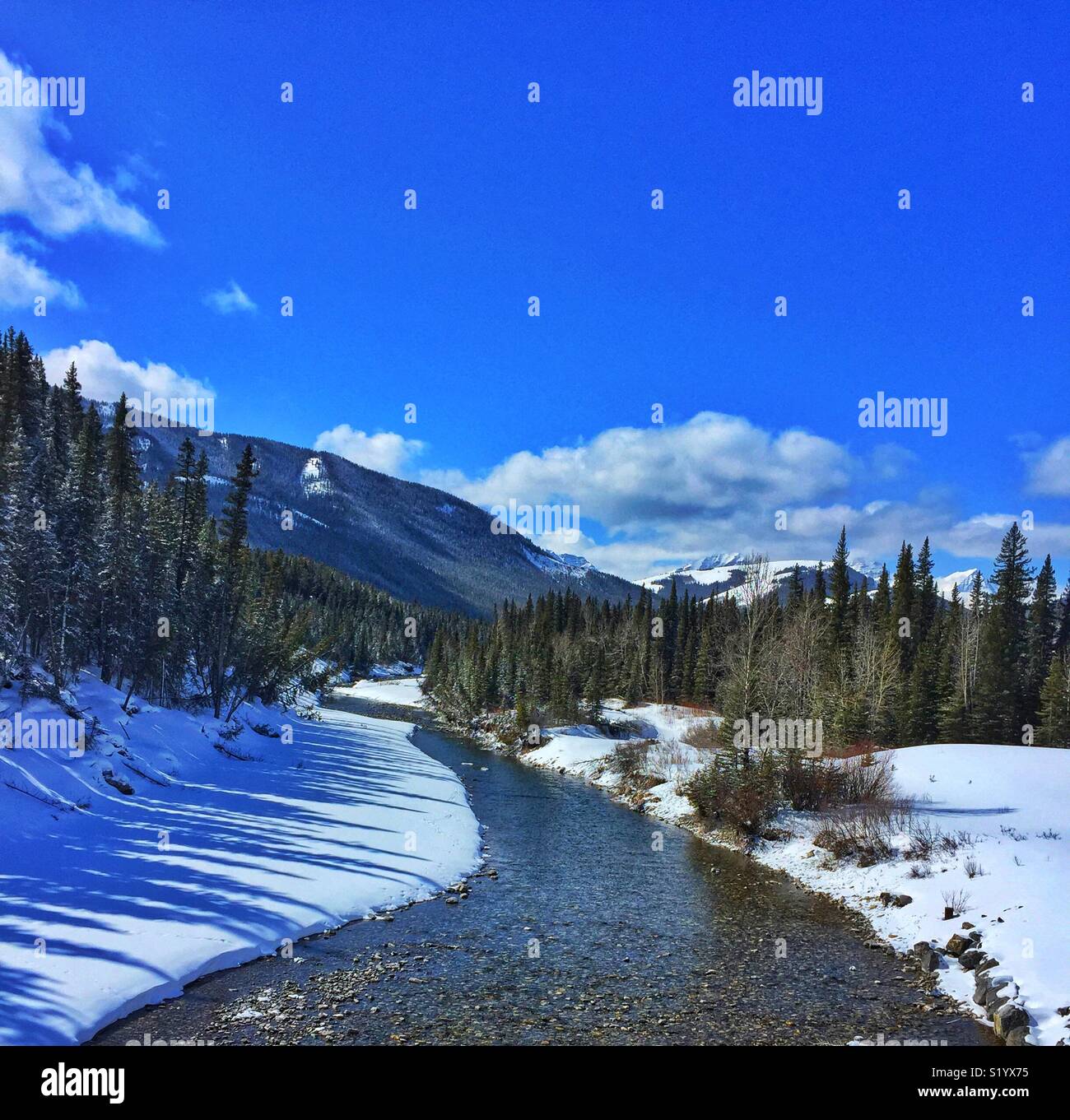Highwood hi-res stock photography and images - Alamy