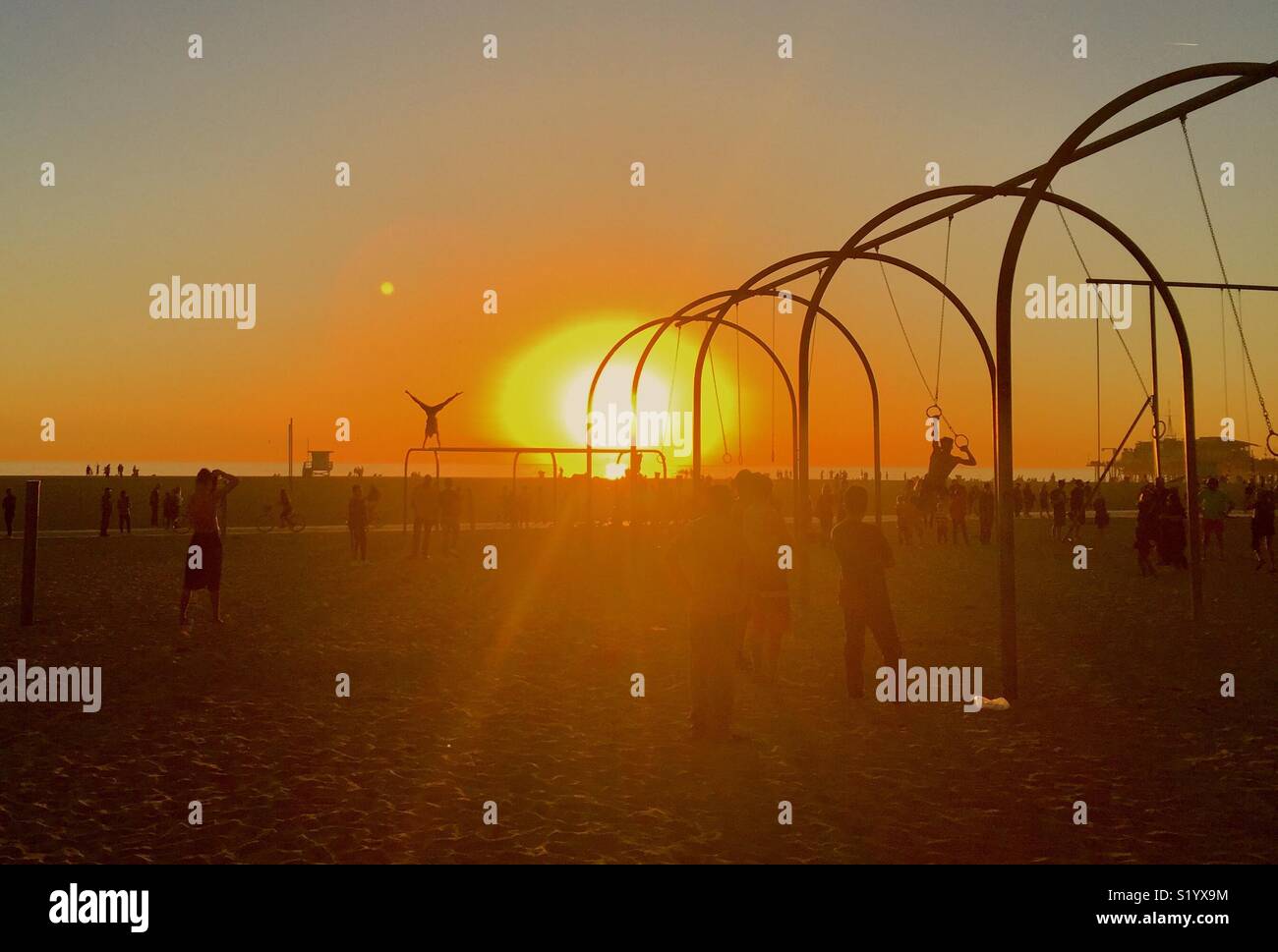 Muscle beach hi-res stock photography and images - Alamy