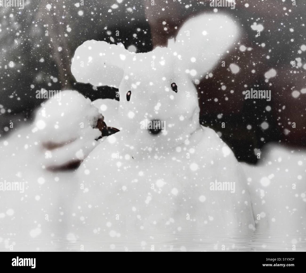 Easter bunny fantasy hi-res stock photography and images - Alamy