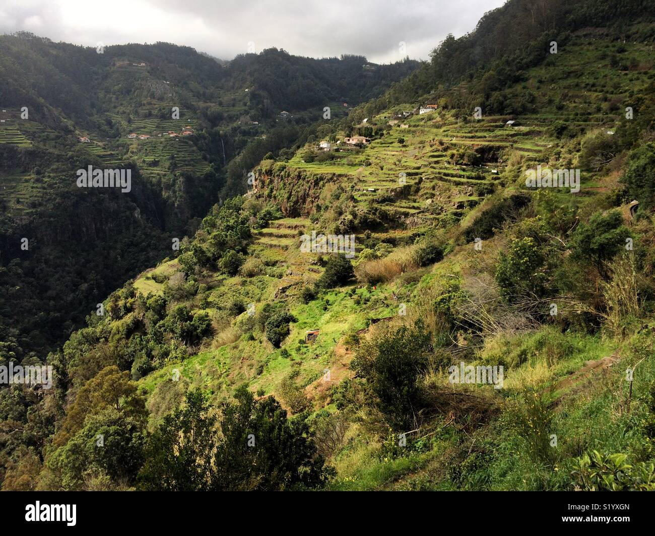 A mountainside terraced with farming and gardening plots high above ...