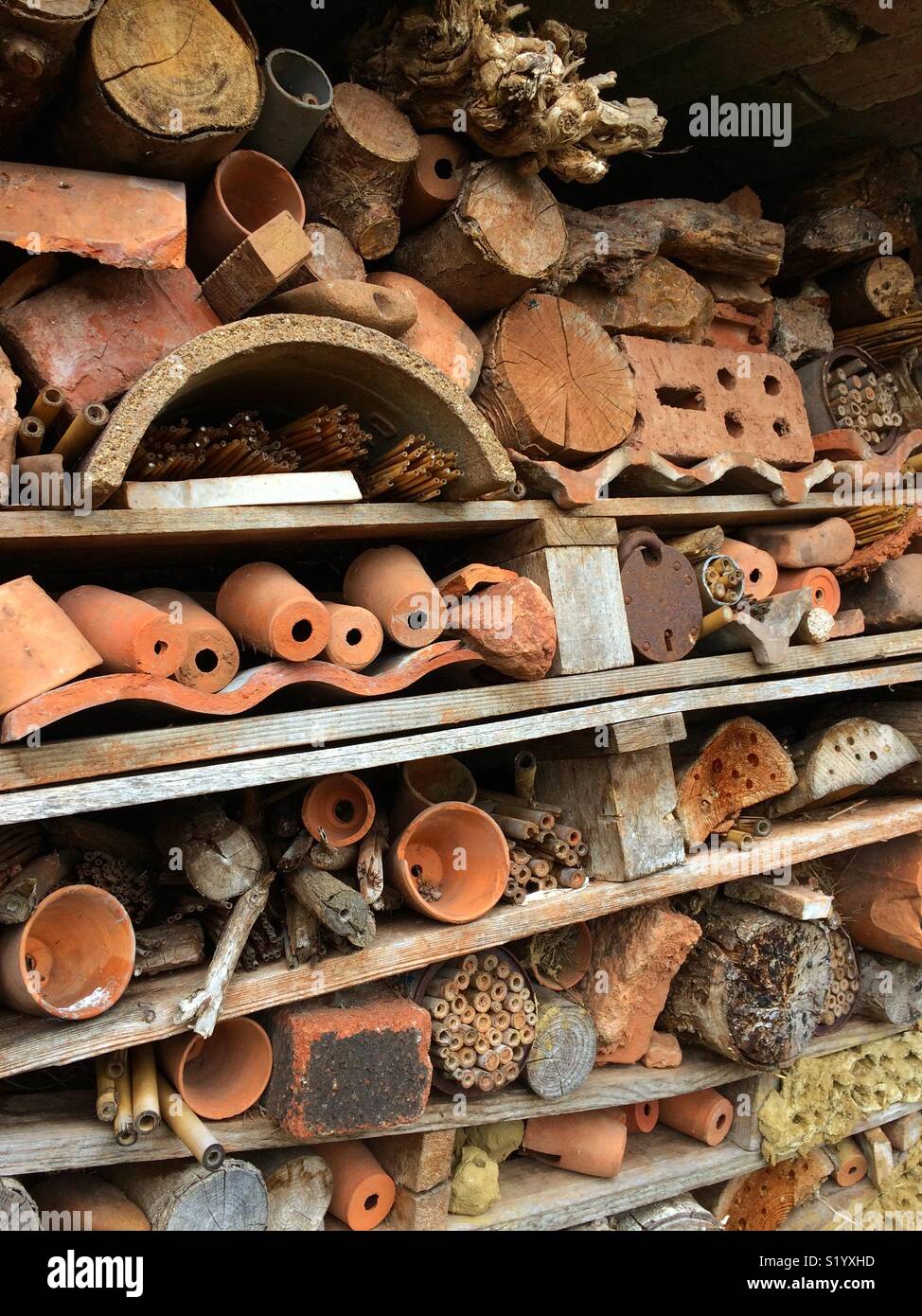 Bug house hi-res stock photography and images - Alamy
