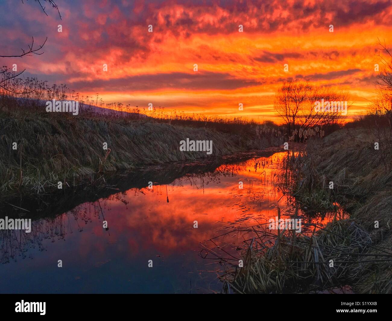 Fire sun hi-res stock photography and images - Alamy