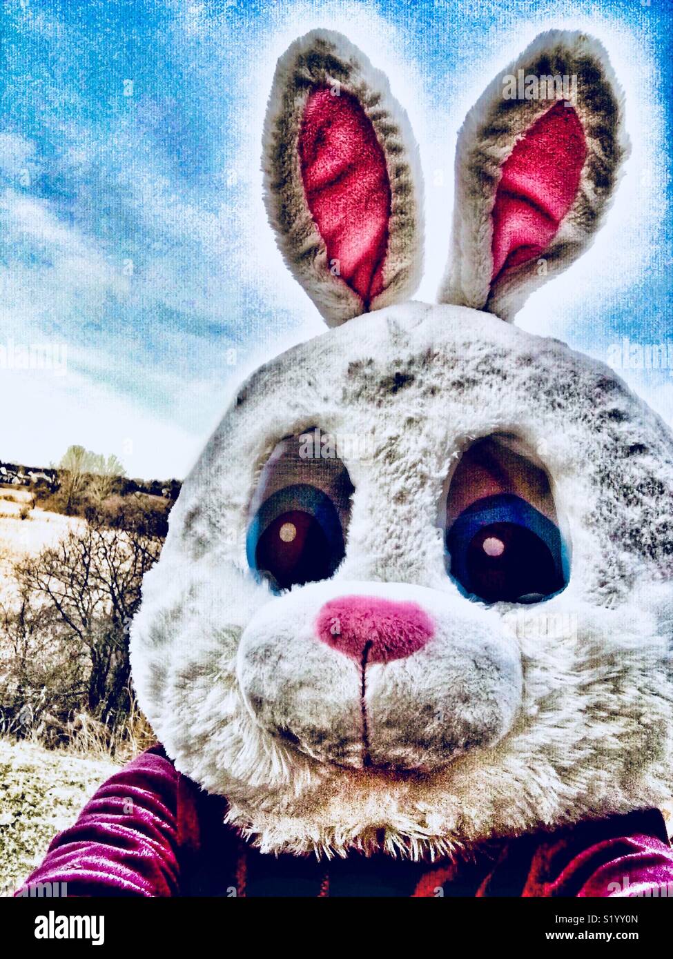 Easter bunny selfie hi-res stock photography and images - Alamy