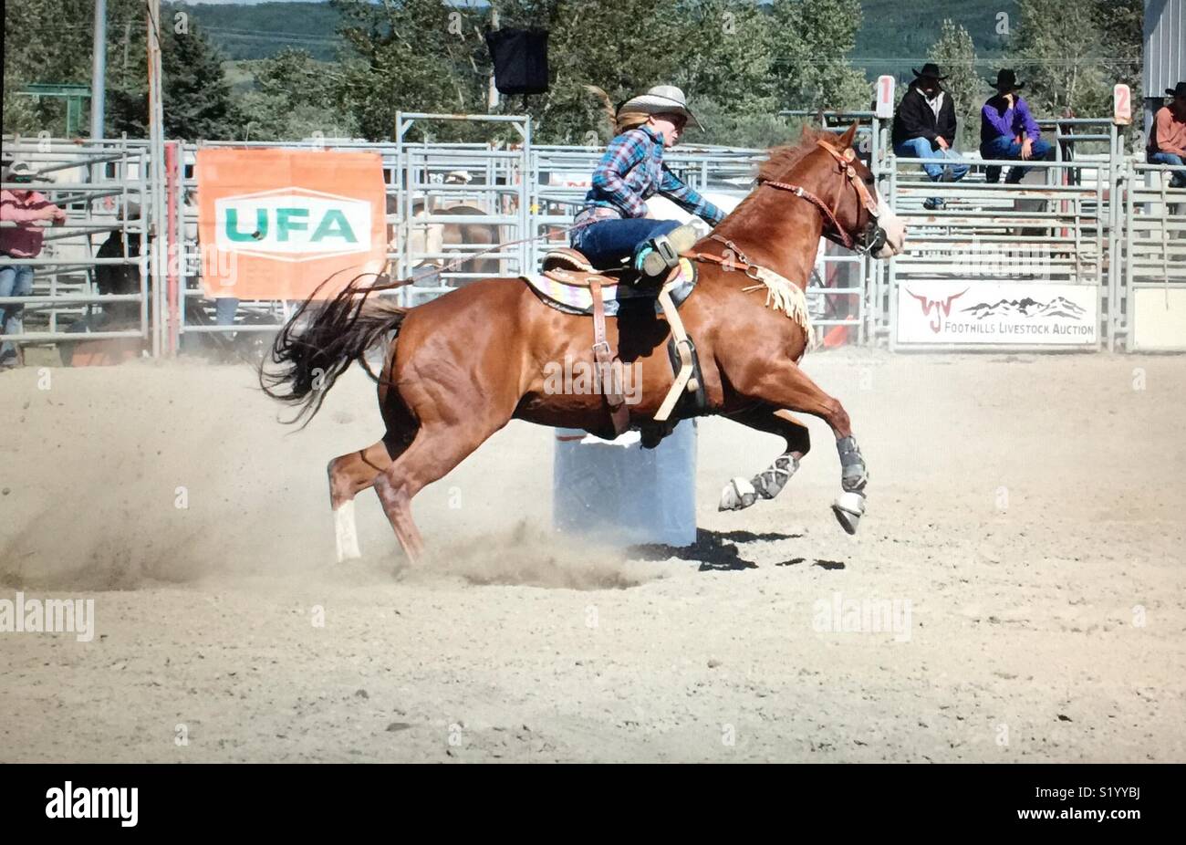 Barrel race hi-res stock photography and images - Alamy