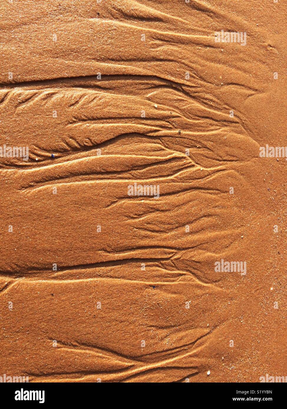 Fissures in the sand caused by tidal erosion Stock Photo - Alamy