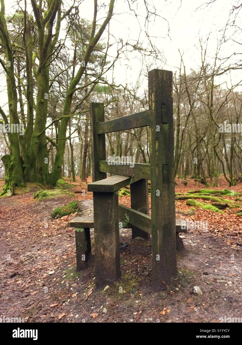 Isolated alone hi-res stock photography and images - Alamy