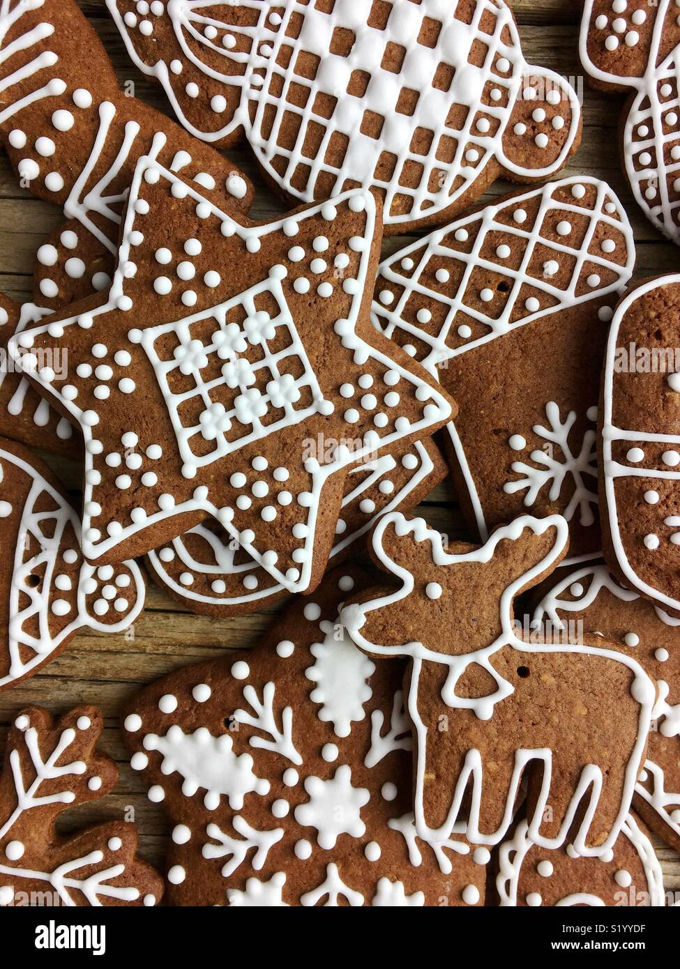 Full screen tree hi-res stock photography and images - Alamy