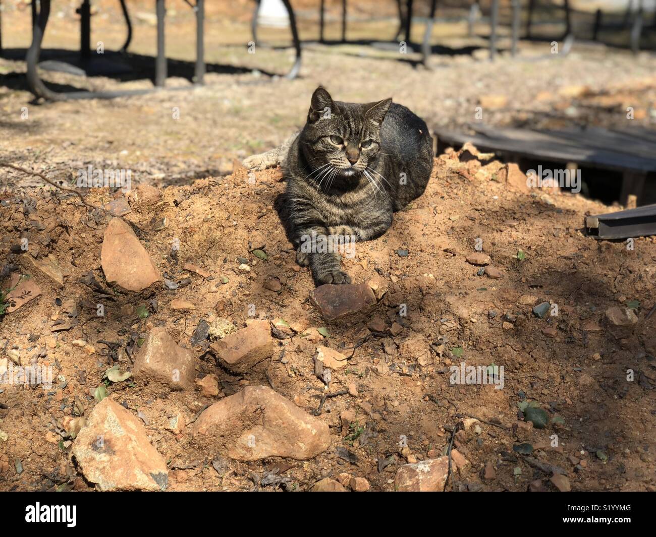 Dirt pile hi-res stock photography and images - Alamy
