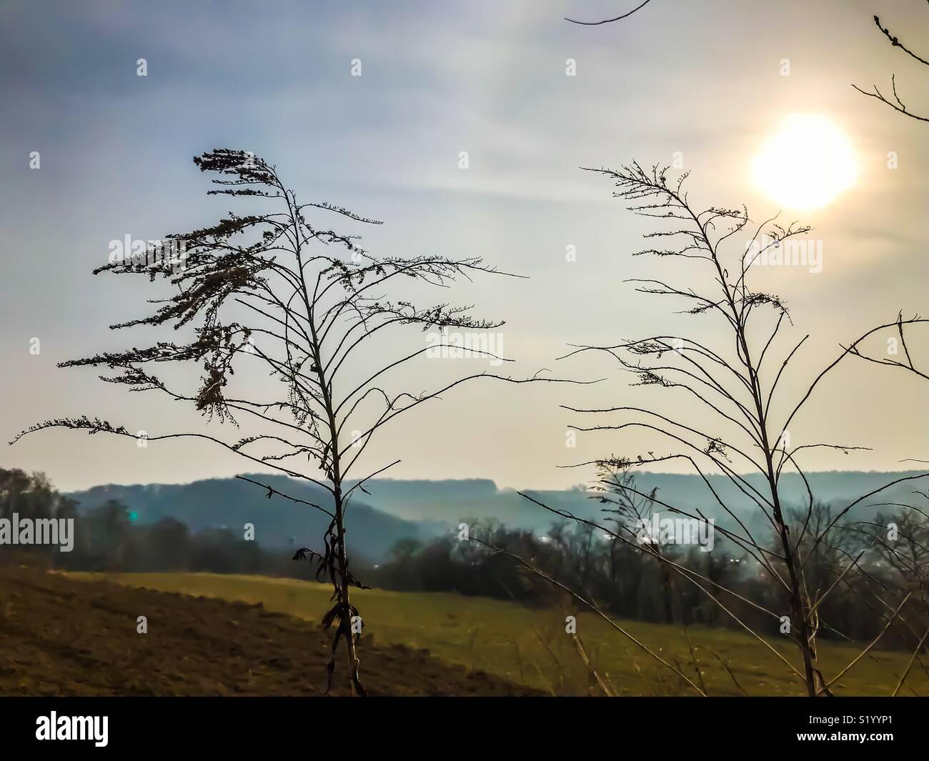 Dried fields hi-res stock photography and images - Alamy