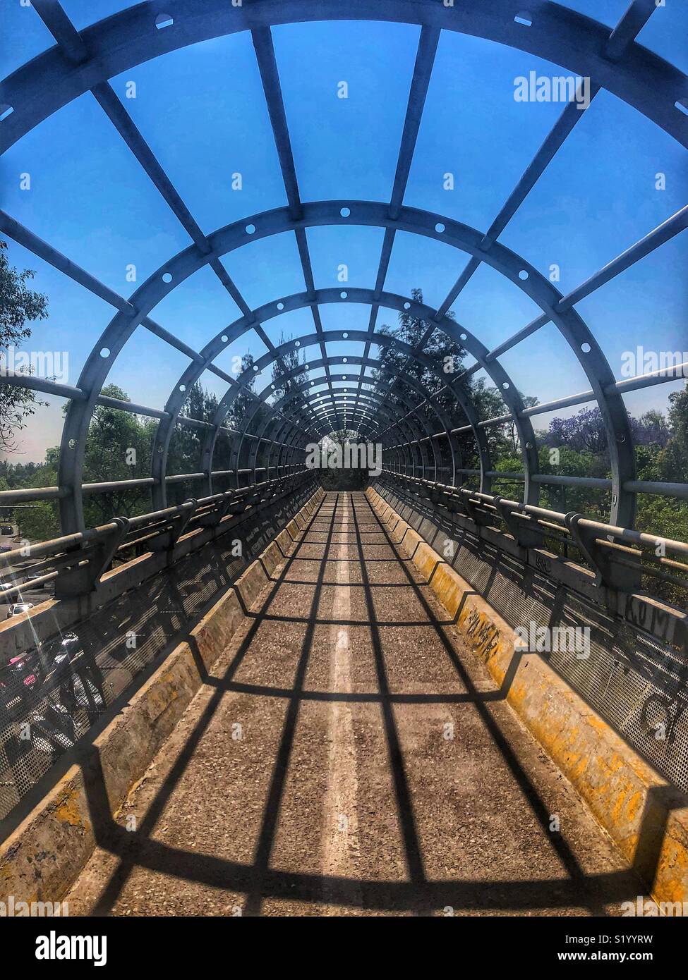 Elevated Bike Path in Mexico City’s Chapultepec Park Stock Photo - Alamy