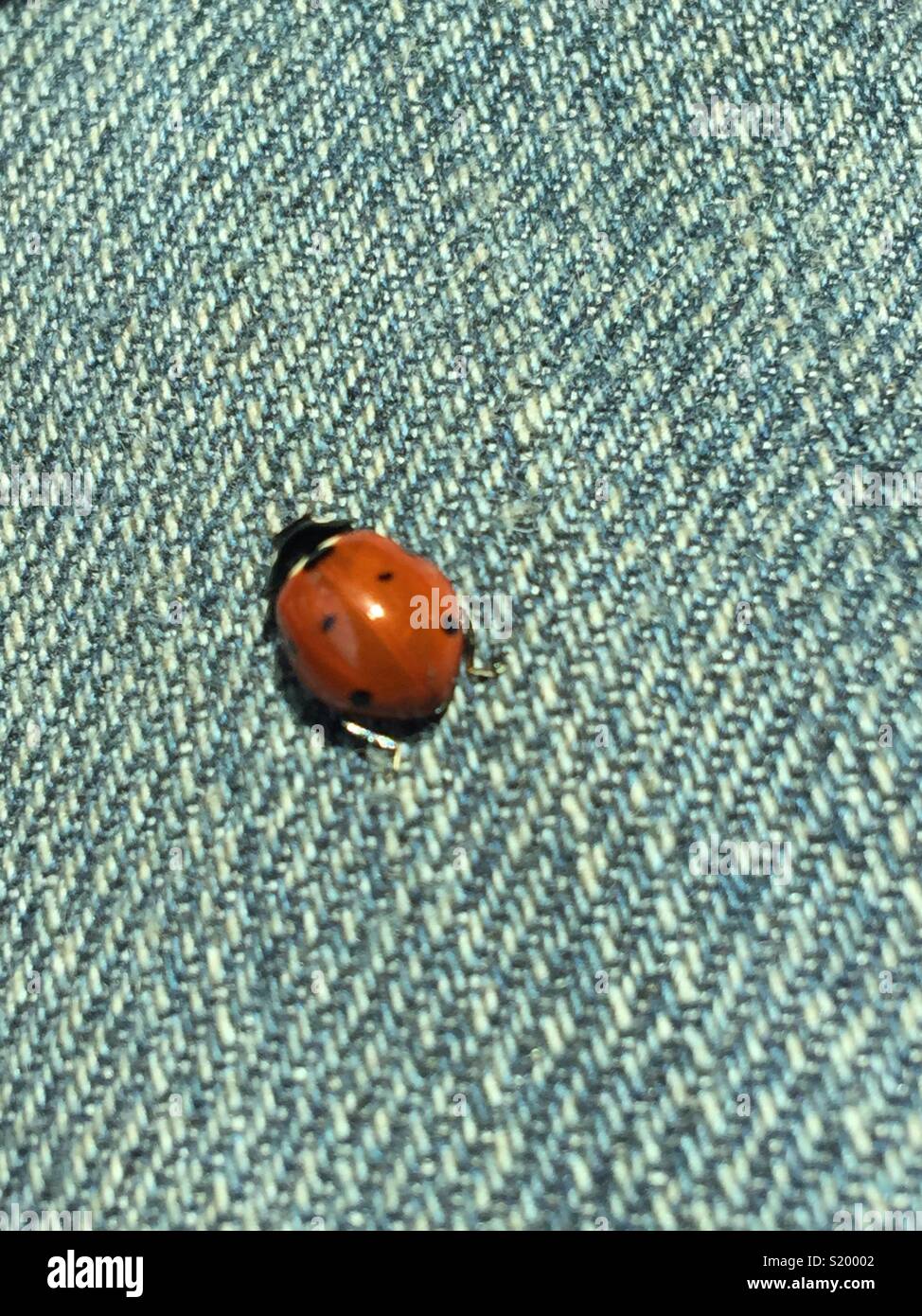 Blackened spots hi-res stock photography and images - Alamy