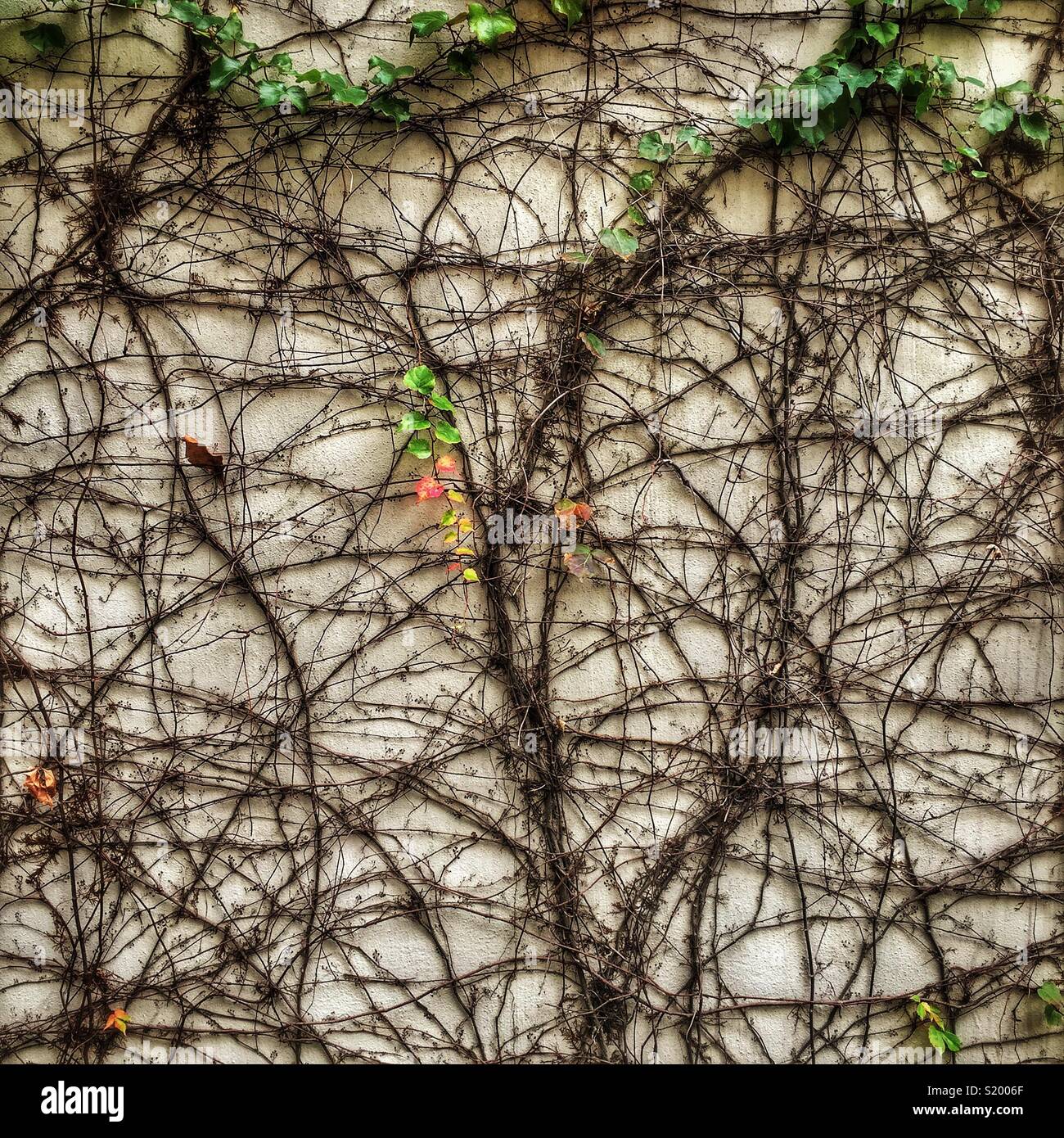 Rendered stone wall hi-res stock photography and images - Alamy