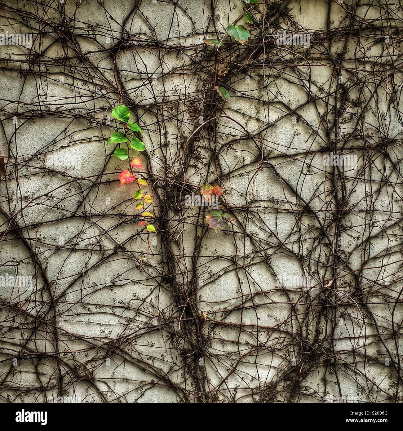 Rendered stone hi-res stock photography and images - Alamy