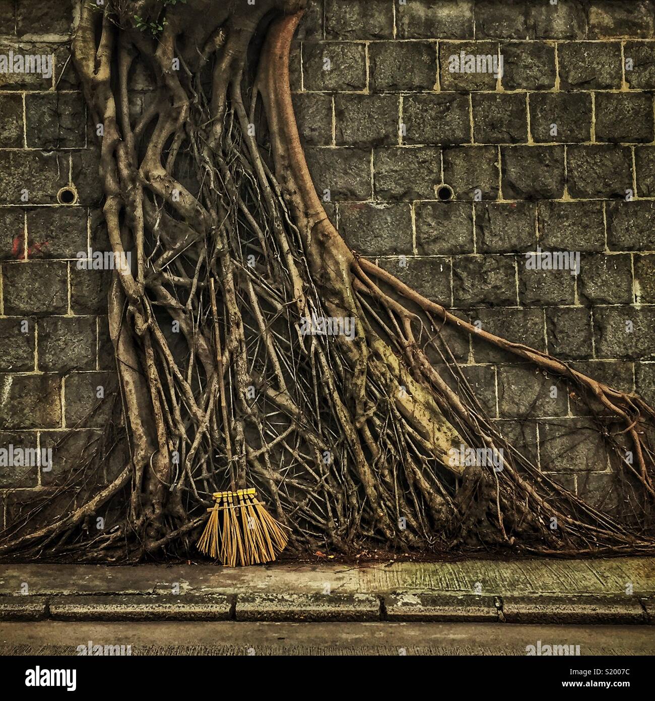 Banyan Tree Hong Kong High Resolution Stock Photography and Images - Alamy