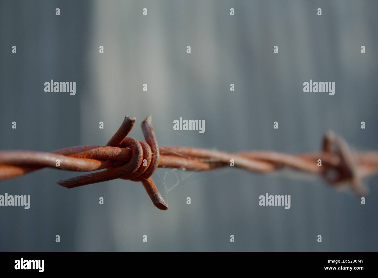 A rusty barbed wire fence with a grey blurred background Stock Photo ...