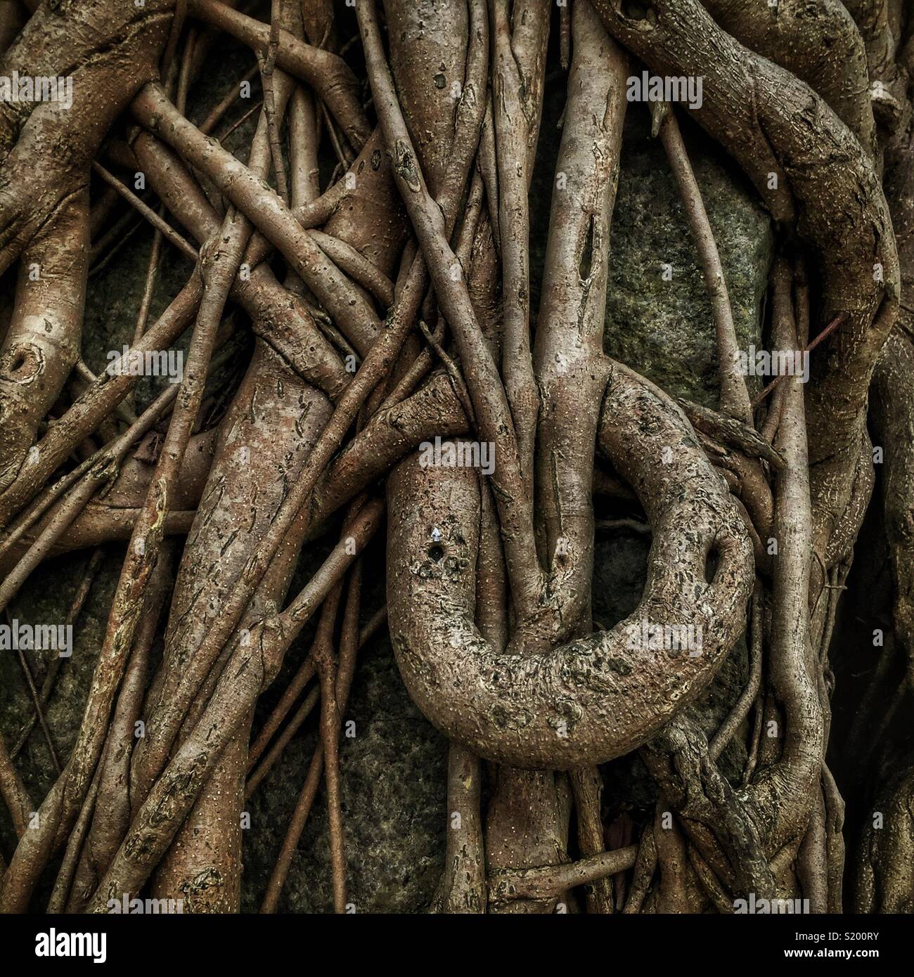 Aerial prop hi-res stock photography and images - Alamy