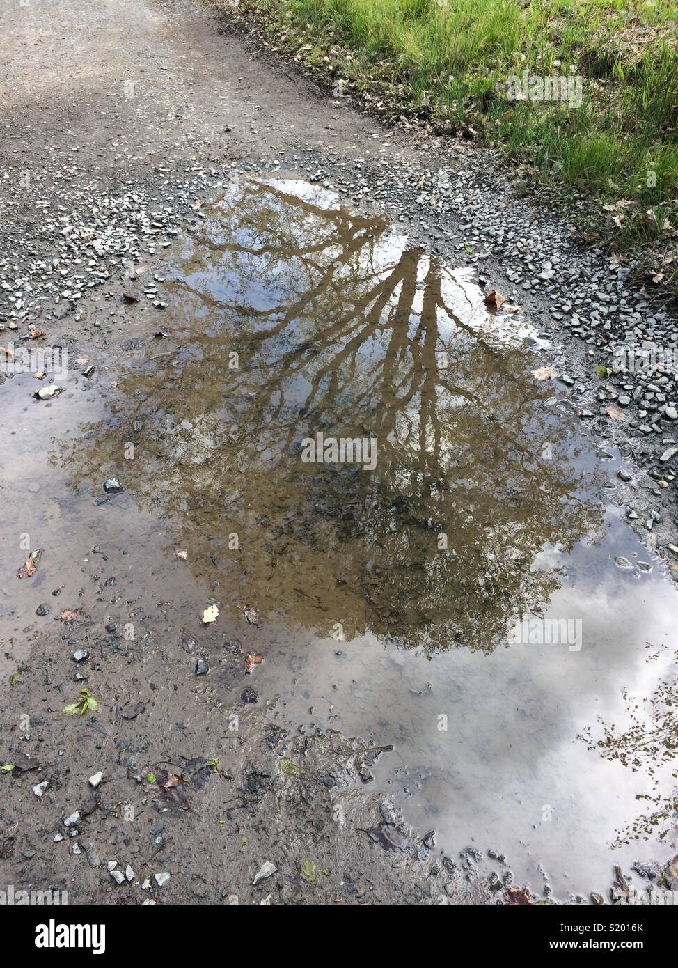 Clear puddle hi-res stock photography and images - Alamy