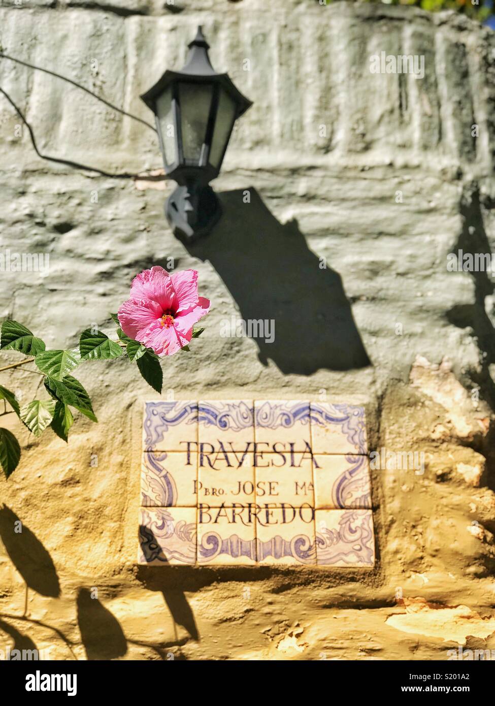 Lamp, flower and road sign Stock Photo - Alamy