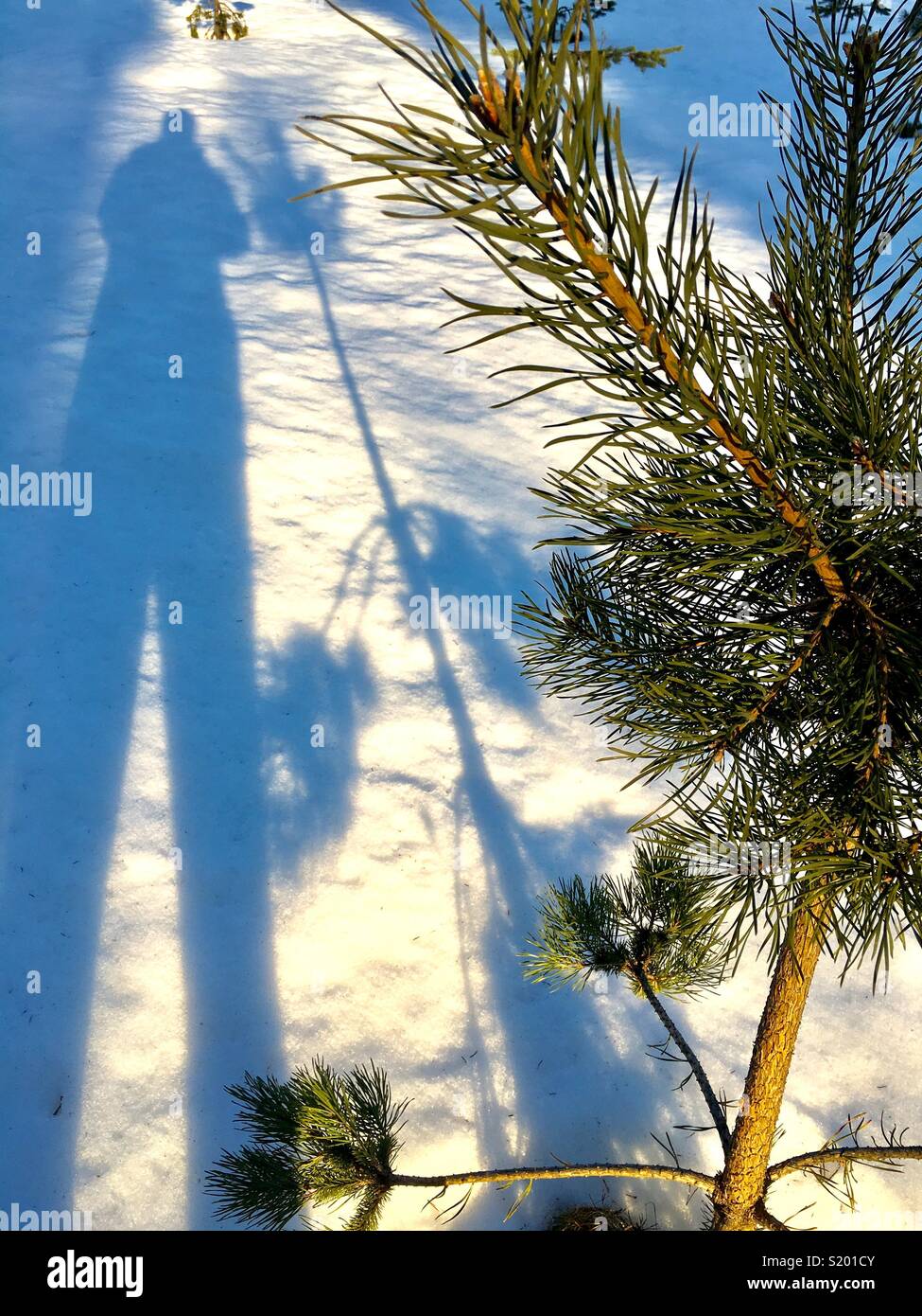 Double shadow hi-res stock photography and images - Alamy