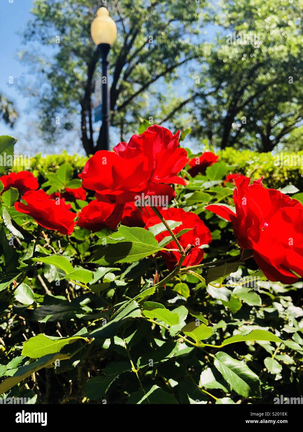 Enjoy life’s gifts Stock Photo - Alamy