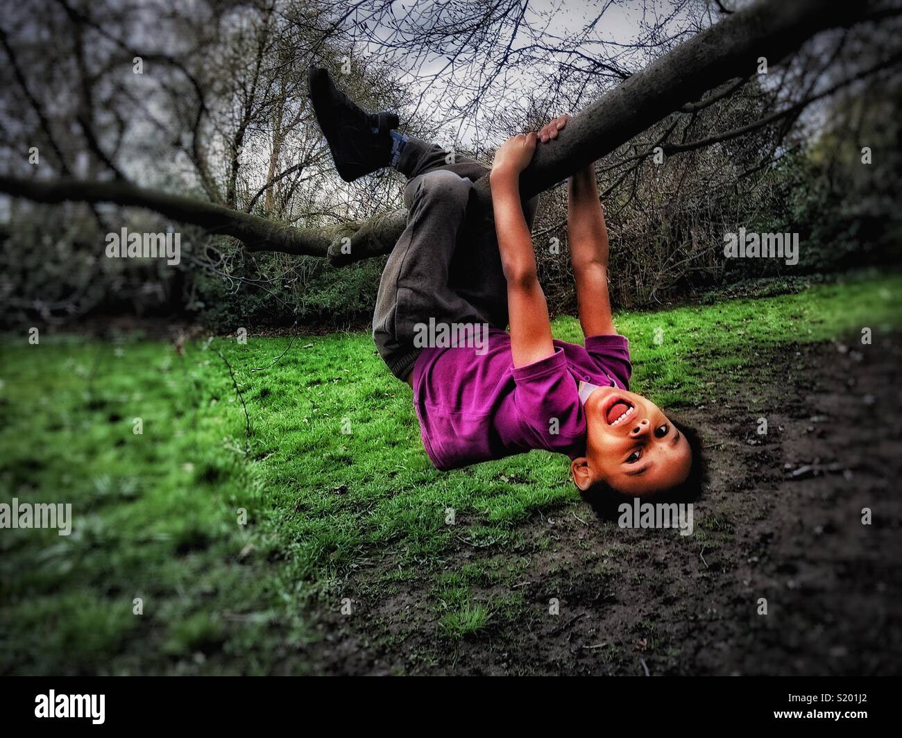 A little boy climbing in a tree Stock Photo - Alamy