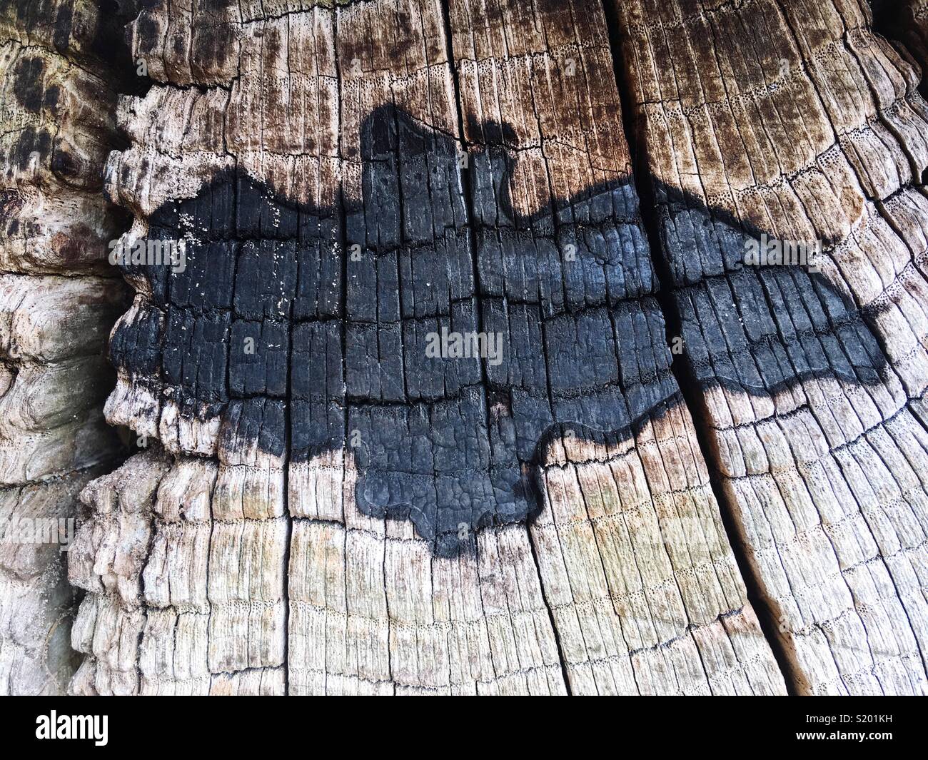 Batman symbol burned into wood Stock Photo - Alamy