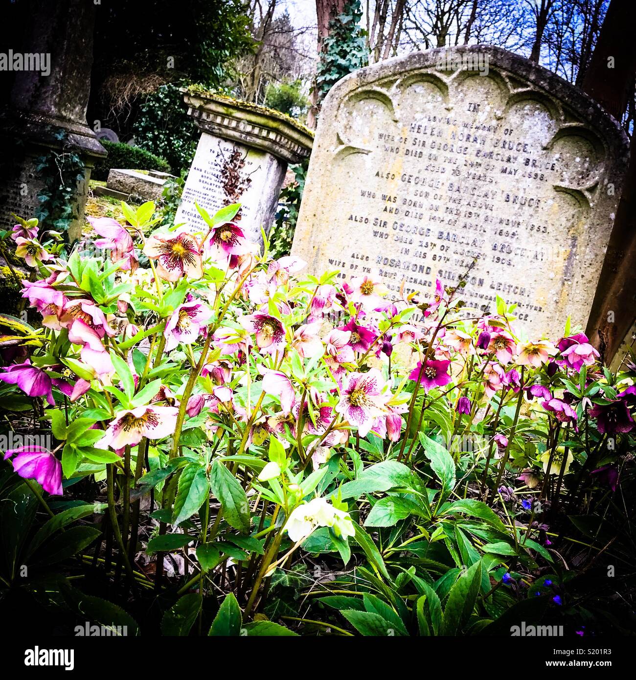 Highgate Cemetery London Stock Photos & Highgate Cemetery London Stock ...
