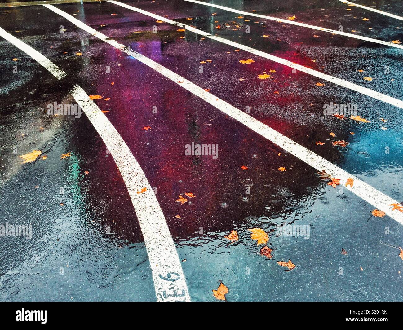 MoPop, museum of popular culture, build by Frank Gehry , reflects in ...