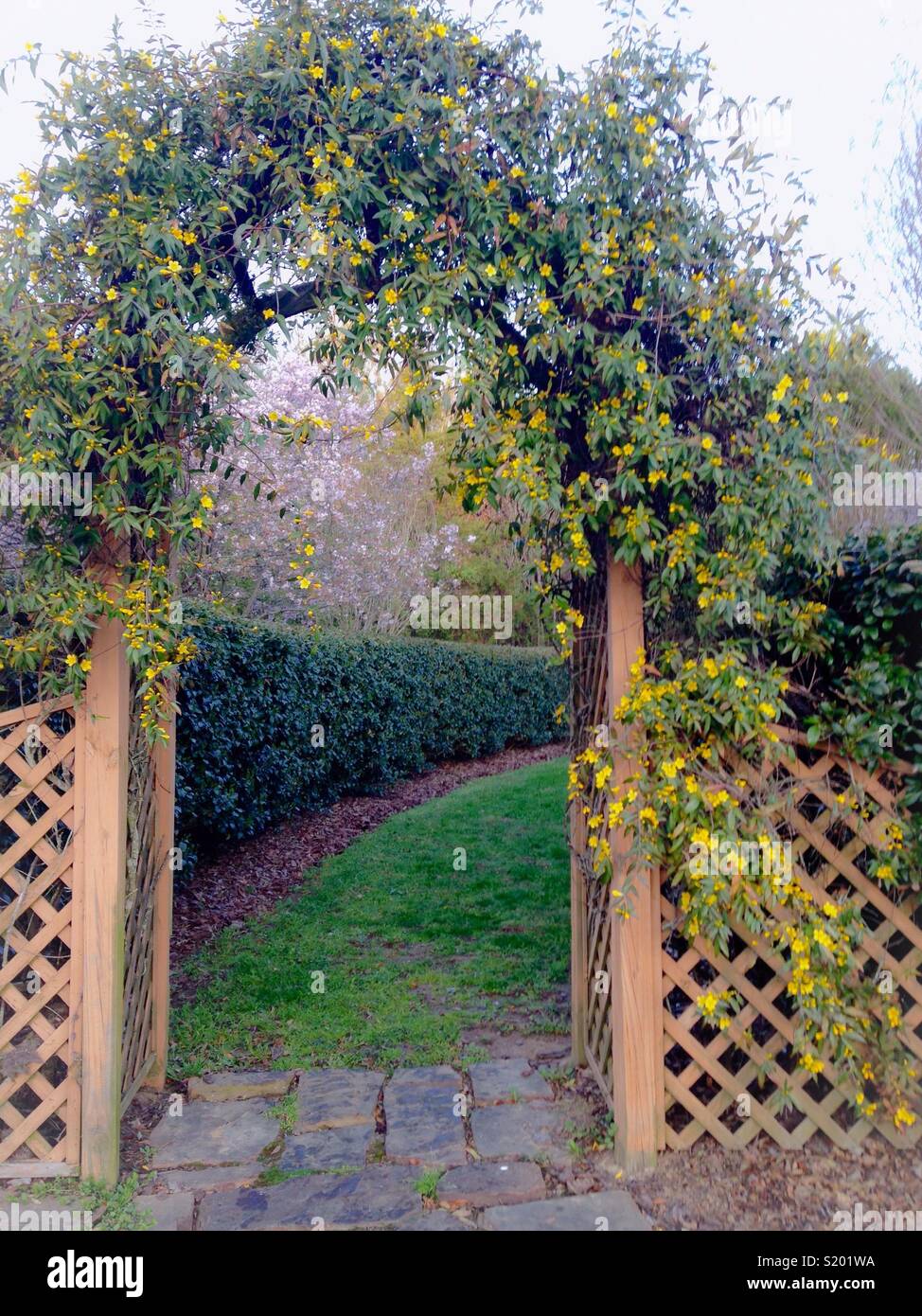 Yellow arch hi-res stock photography and images - Alamy