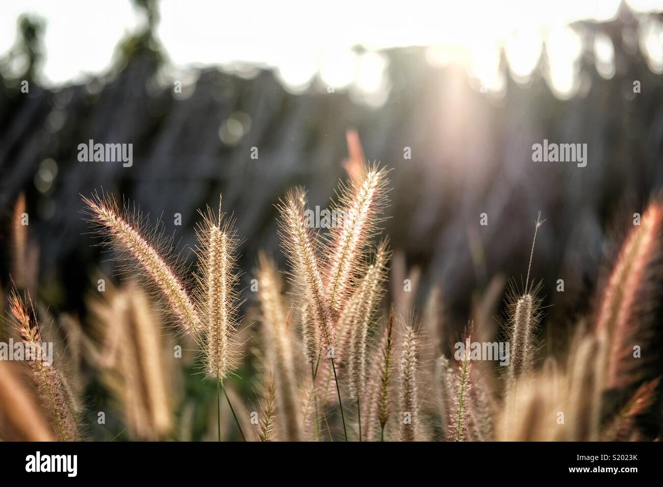Highlighted Fields High Resolution Stock Photography and Images - Alamy