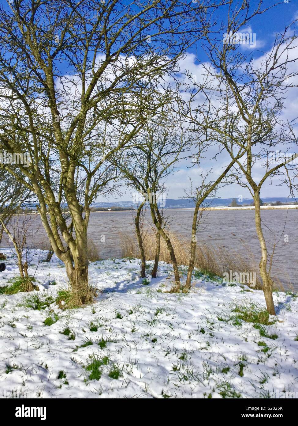Snow covered Riverside Stock Photo - Alamy