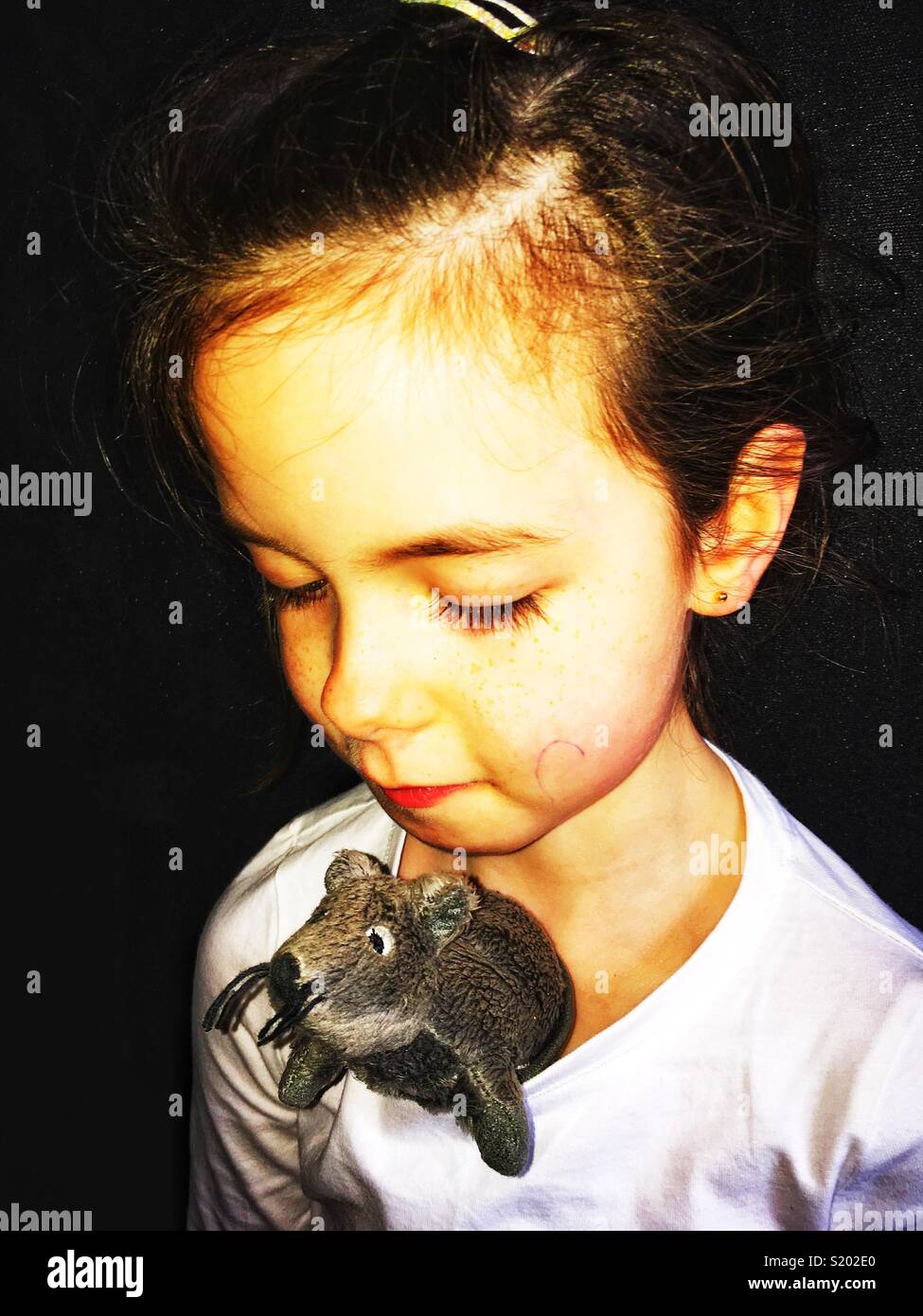 Fluffy mouse hi-res stock photography and images - Alamy