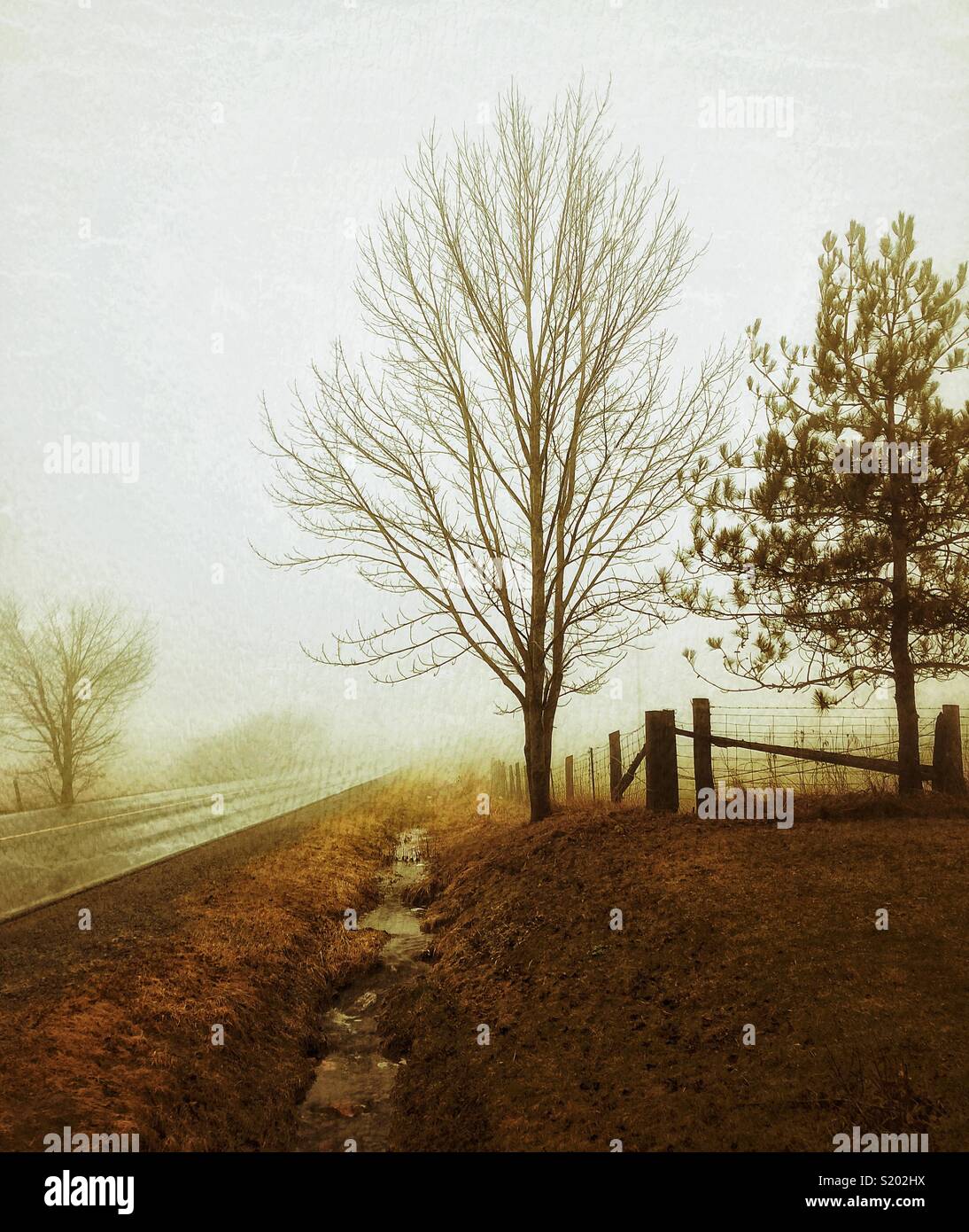 Foggy rural roadside scene water filled ditch, trees, and old fence ...